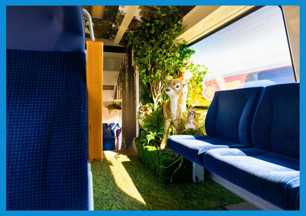 „LTG Link“ kviečia į įspūdžių ir pažinimo kelionę Miško traukiniu ...